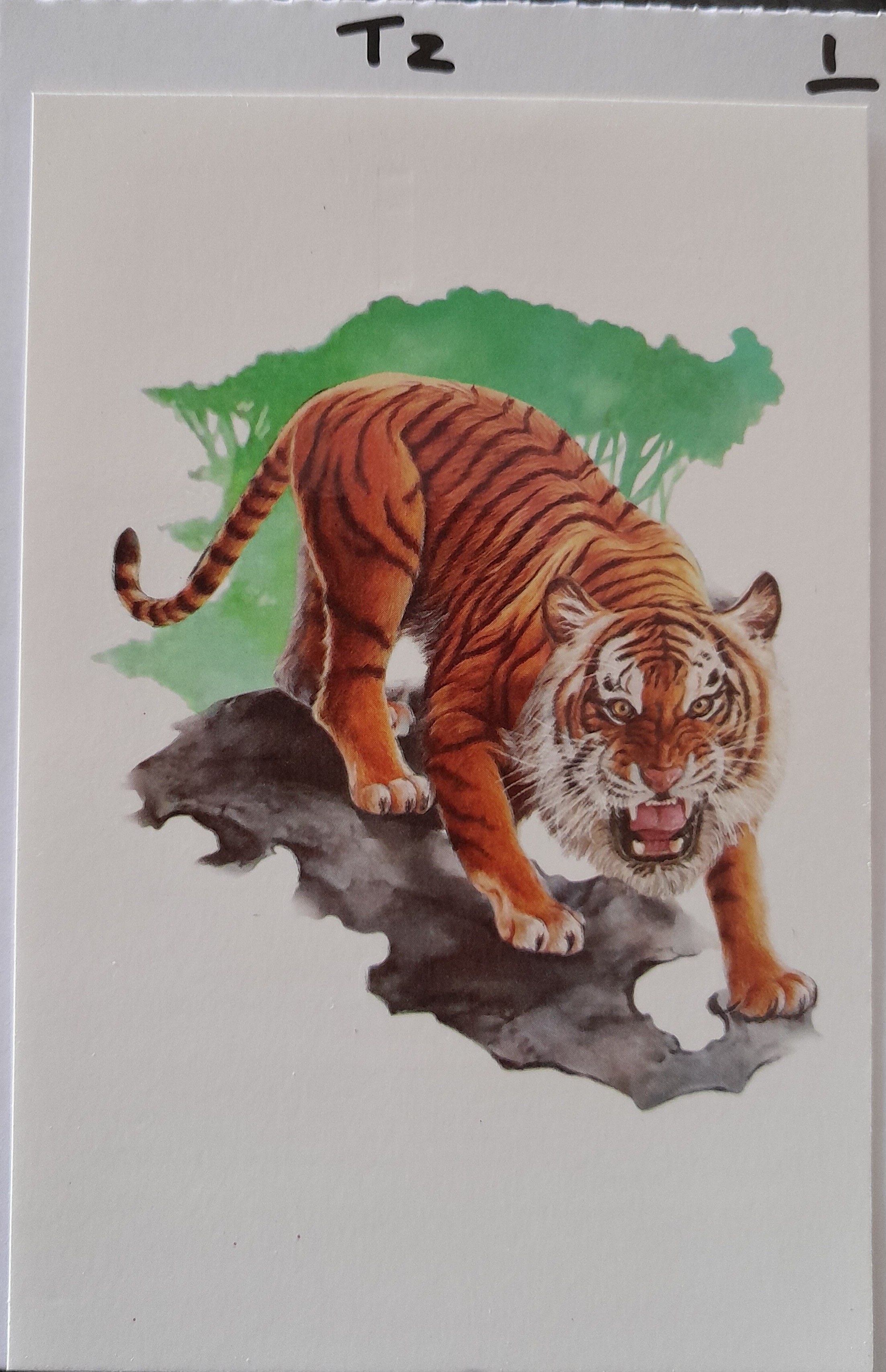 T2 - Tiger green behind - Quench Water | Take App