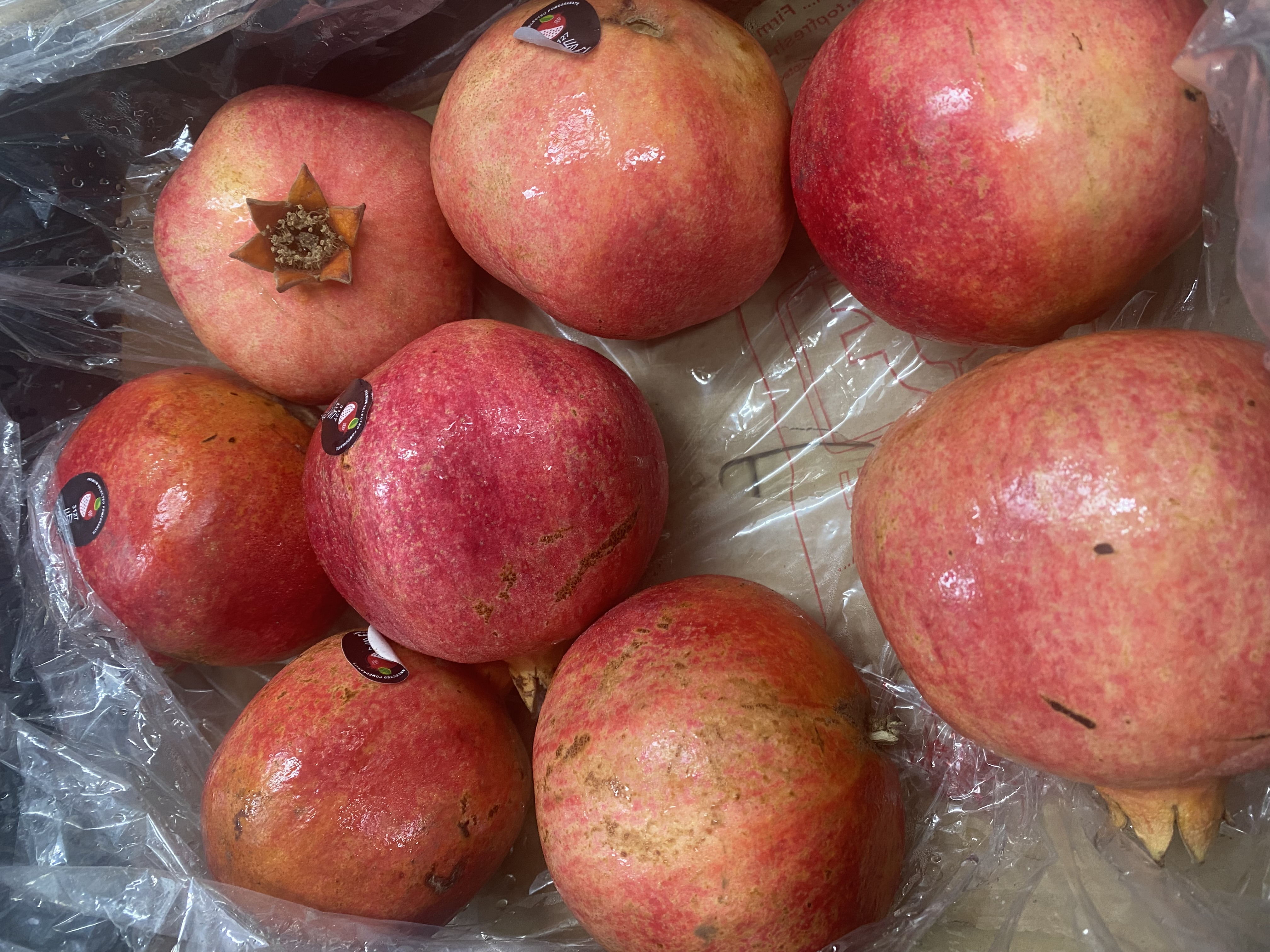 SA Pomegranate (Large) - Lai Lai Fresh Fruits - 来来鲜果 | Take App