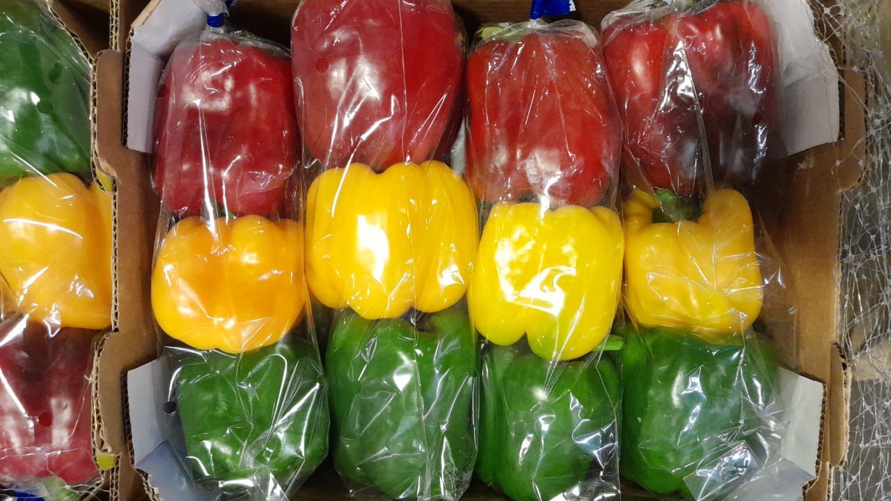 Robot peppers - Lotz in a Box | Take App