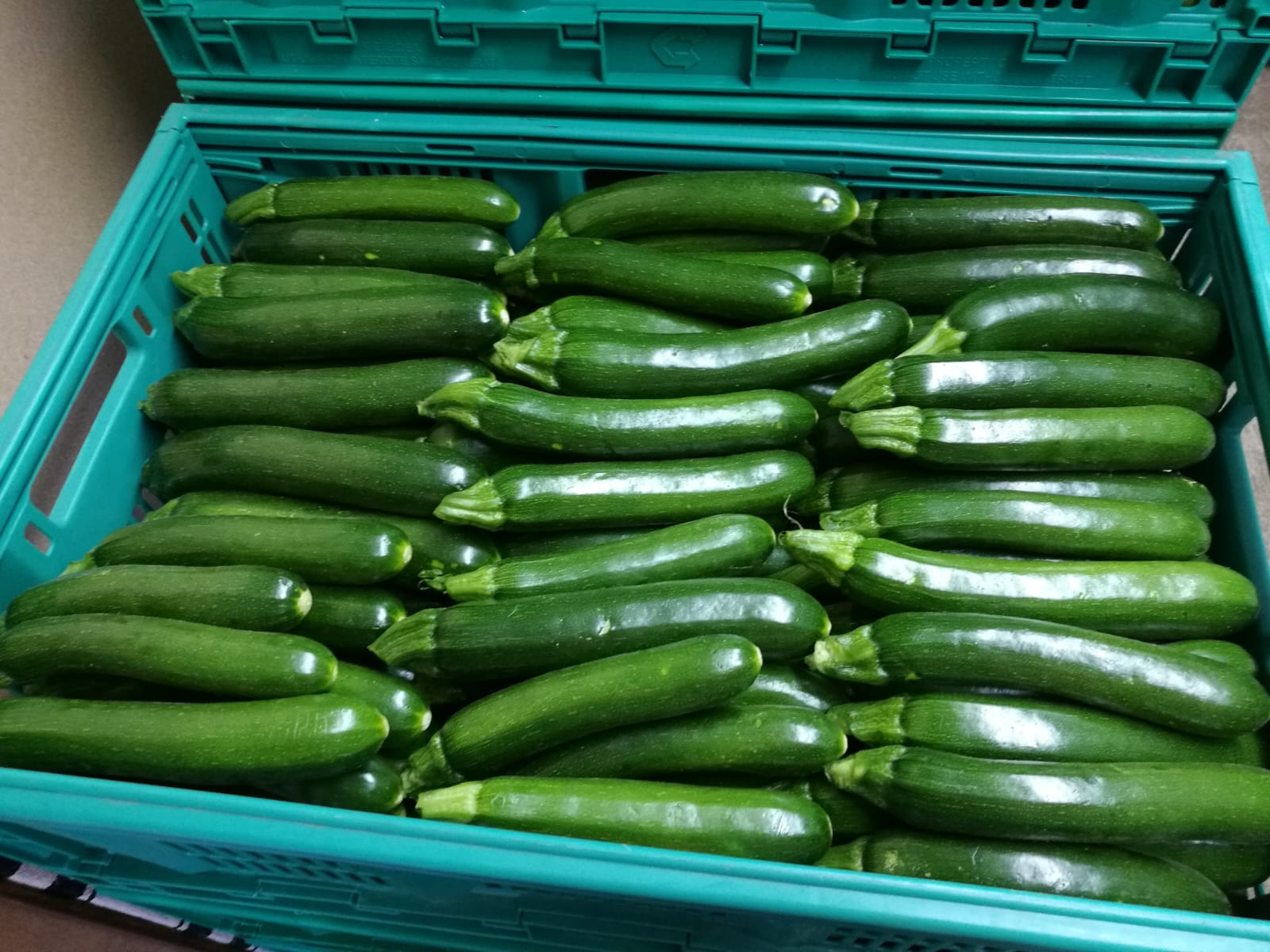 400g Baby marrows - Lotz in a Box | Take App