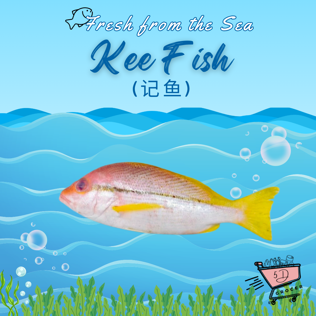 Fresh Kee Fish 记鱼 500g/1kg - 5D Grocers - Premium Fresh Seafood ...
