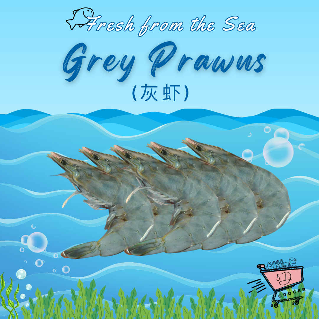 Fresh Grey Prawns 灰虾 250g - 5D Grocers - Premium Fresh Seafood ...