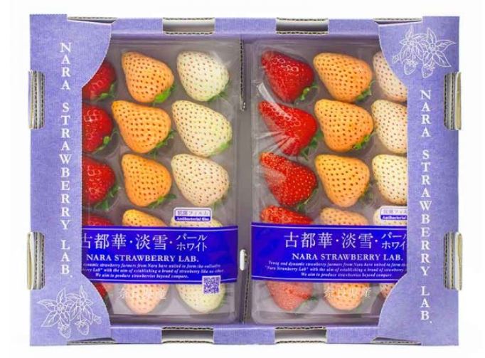 Japan Tri-color Nara Strawberry Lab (Kotoka/Pearl White/Awayuki Pink) 1 ...