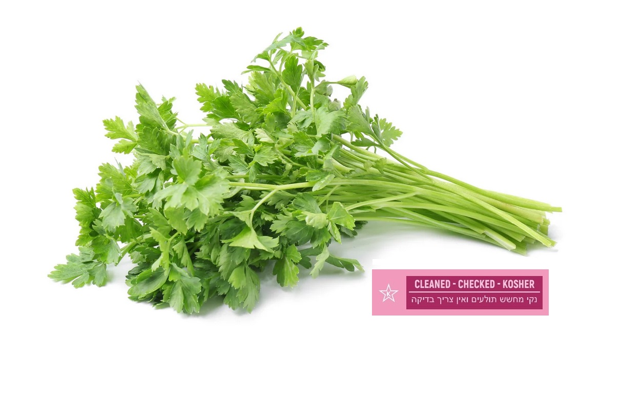 Cilantro (4oz) - Kosher Crops