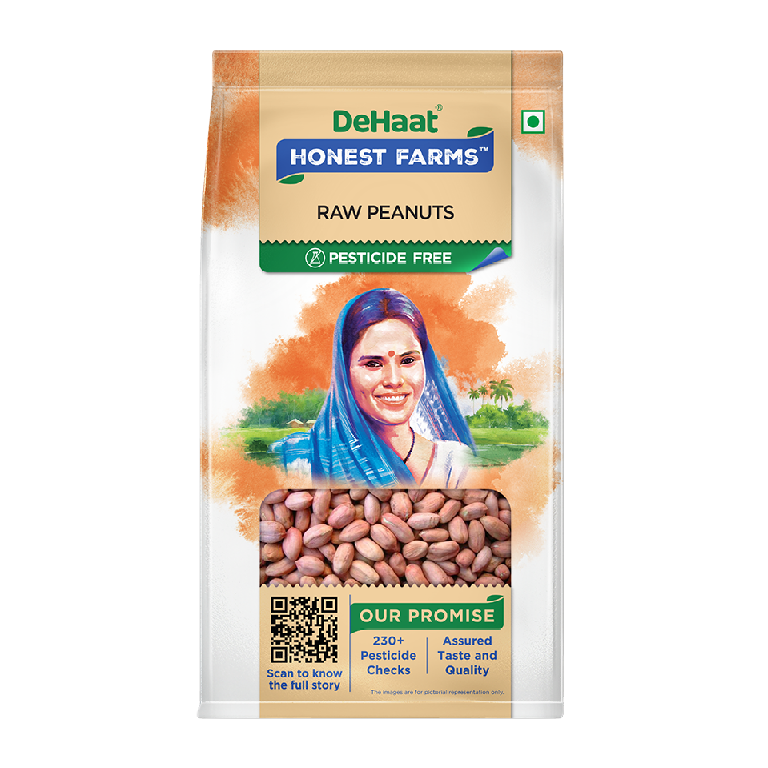 DHF Raw Peanuts 500g x 24 - SONNAMERA B2B ORDERS