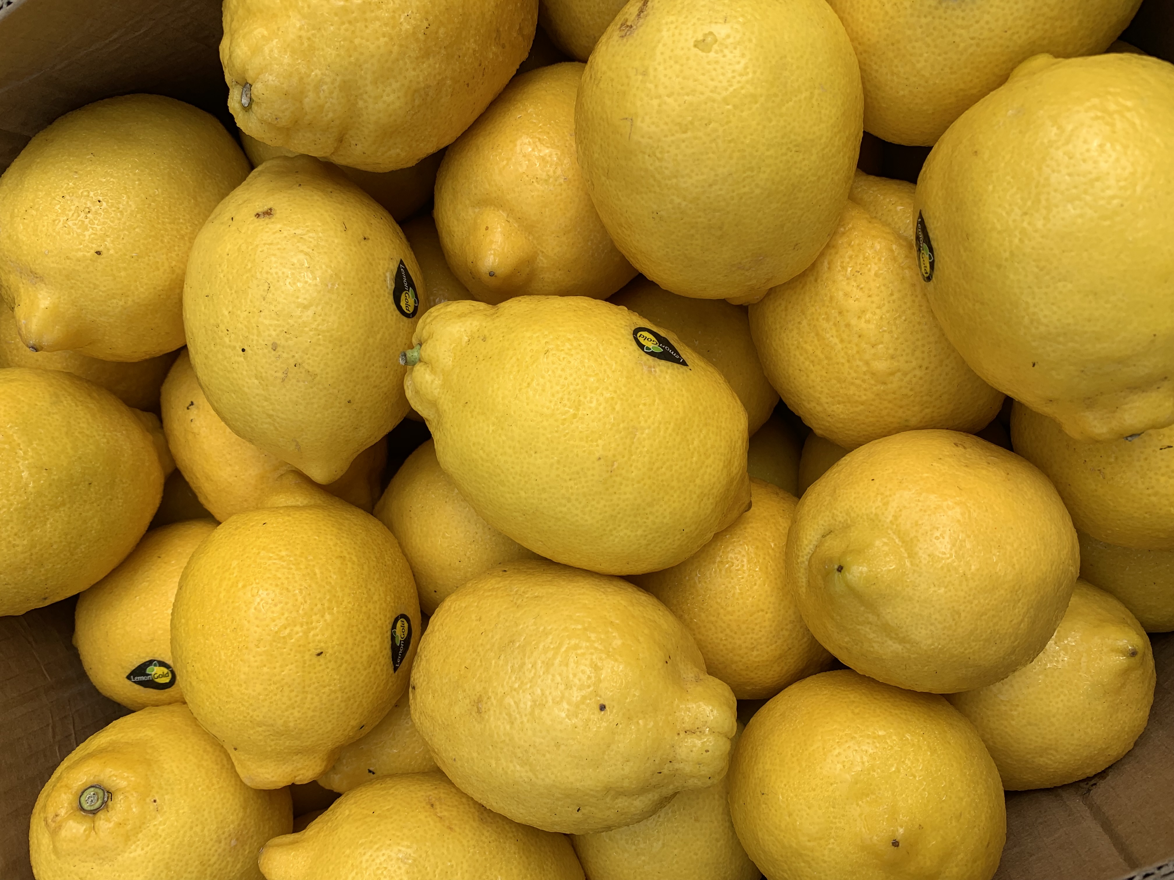 Imported Lemon 3pcs - Maries produce