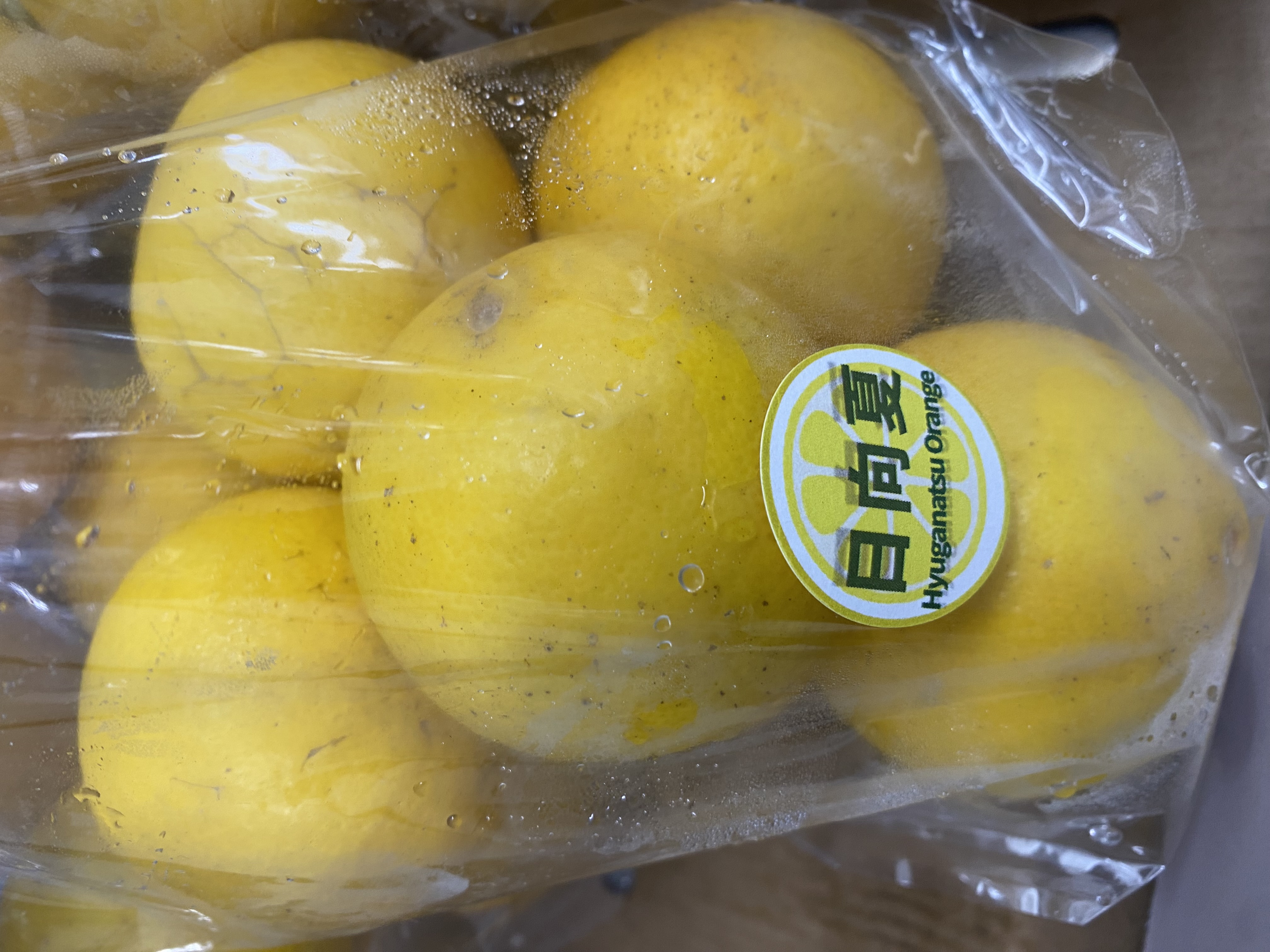Japan Hyuganatsu Orange - Lai Lai Fresh Fruits - 来来鲜果 | Take App