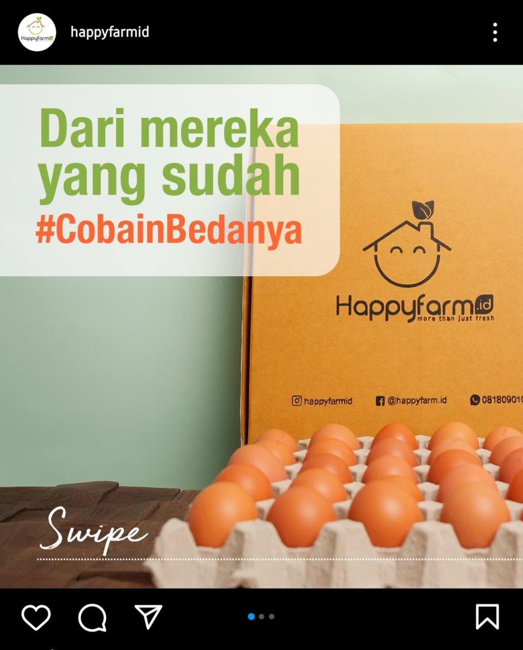 30 Telur Negeri Box - Happyfarm Bdg