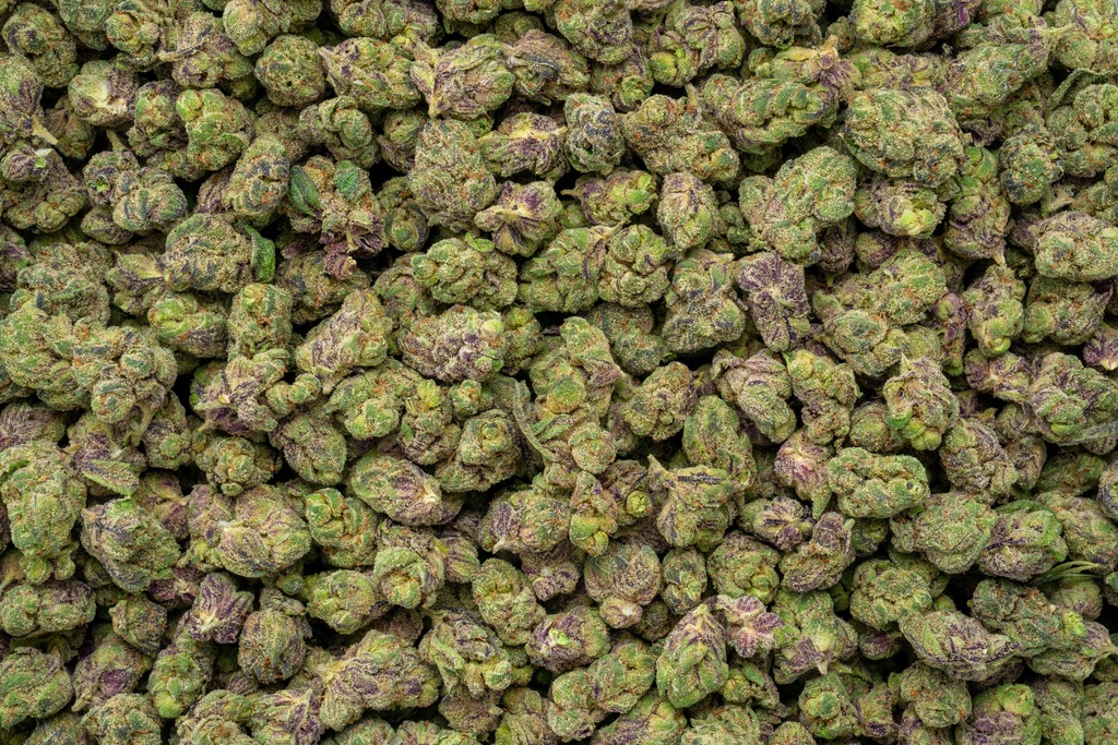 Obama Runtz Indoor Smalls - Rosada Packs Brand | Take App