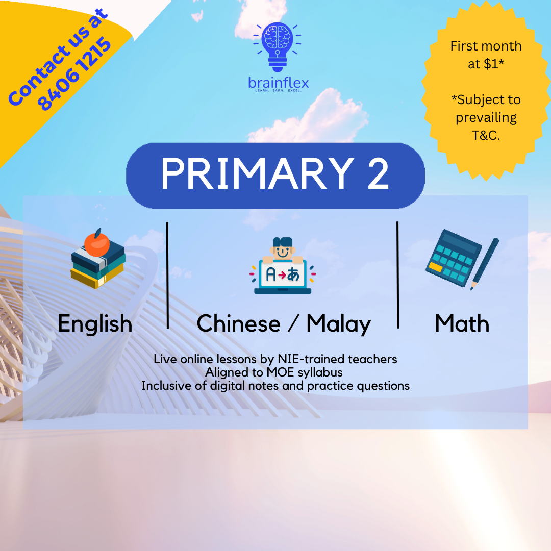 Primary 2 - BrainFlex | Take App