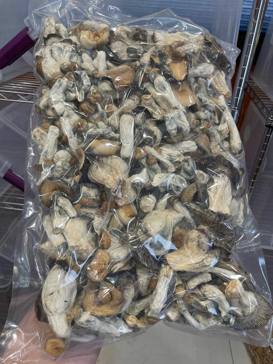 Yaks Shrooms - KINGOFQUALITYCONTROL | Take App