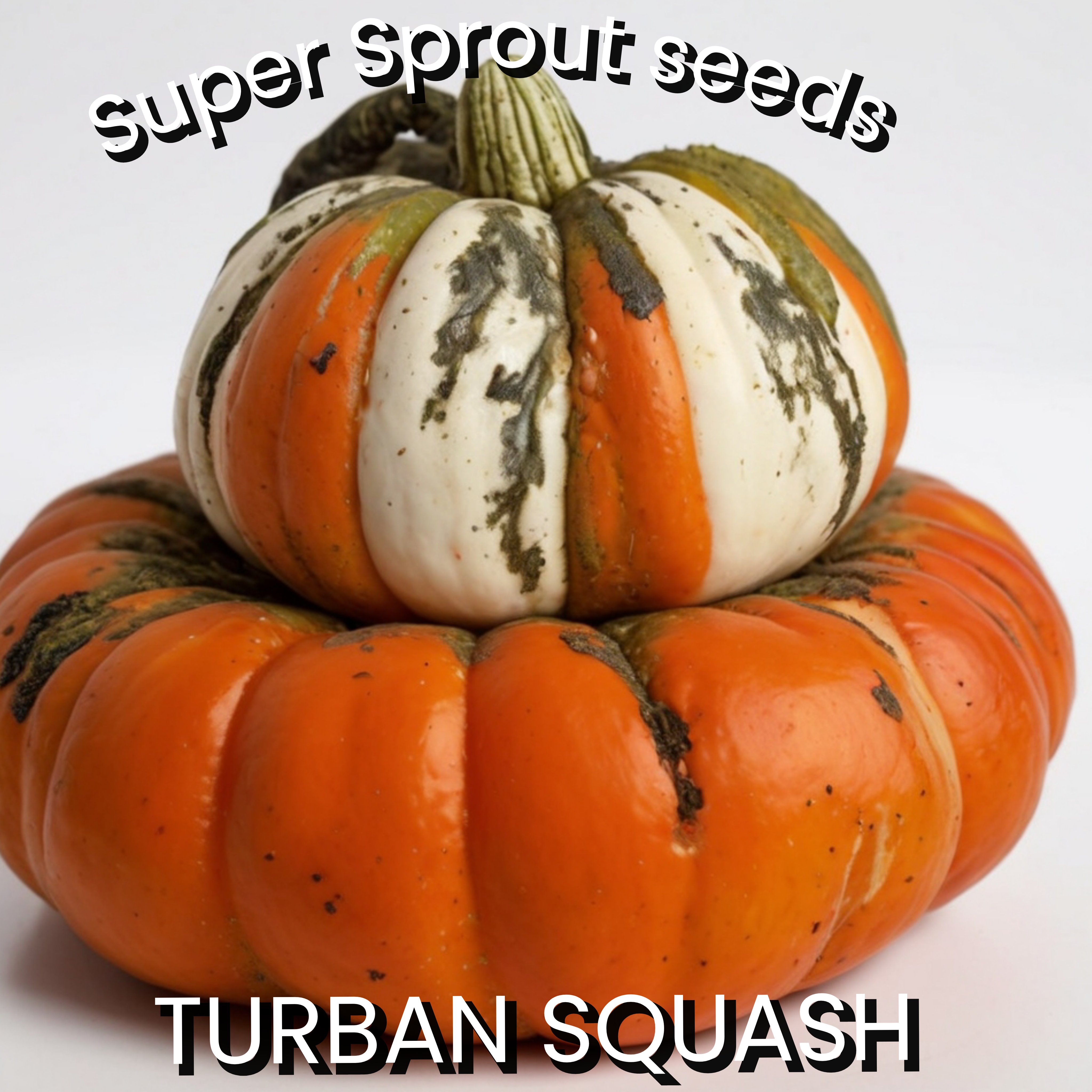 🎃TURBAN SQUASH 🎃 x 5 seeds - Supersprout | Take App