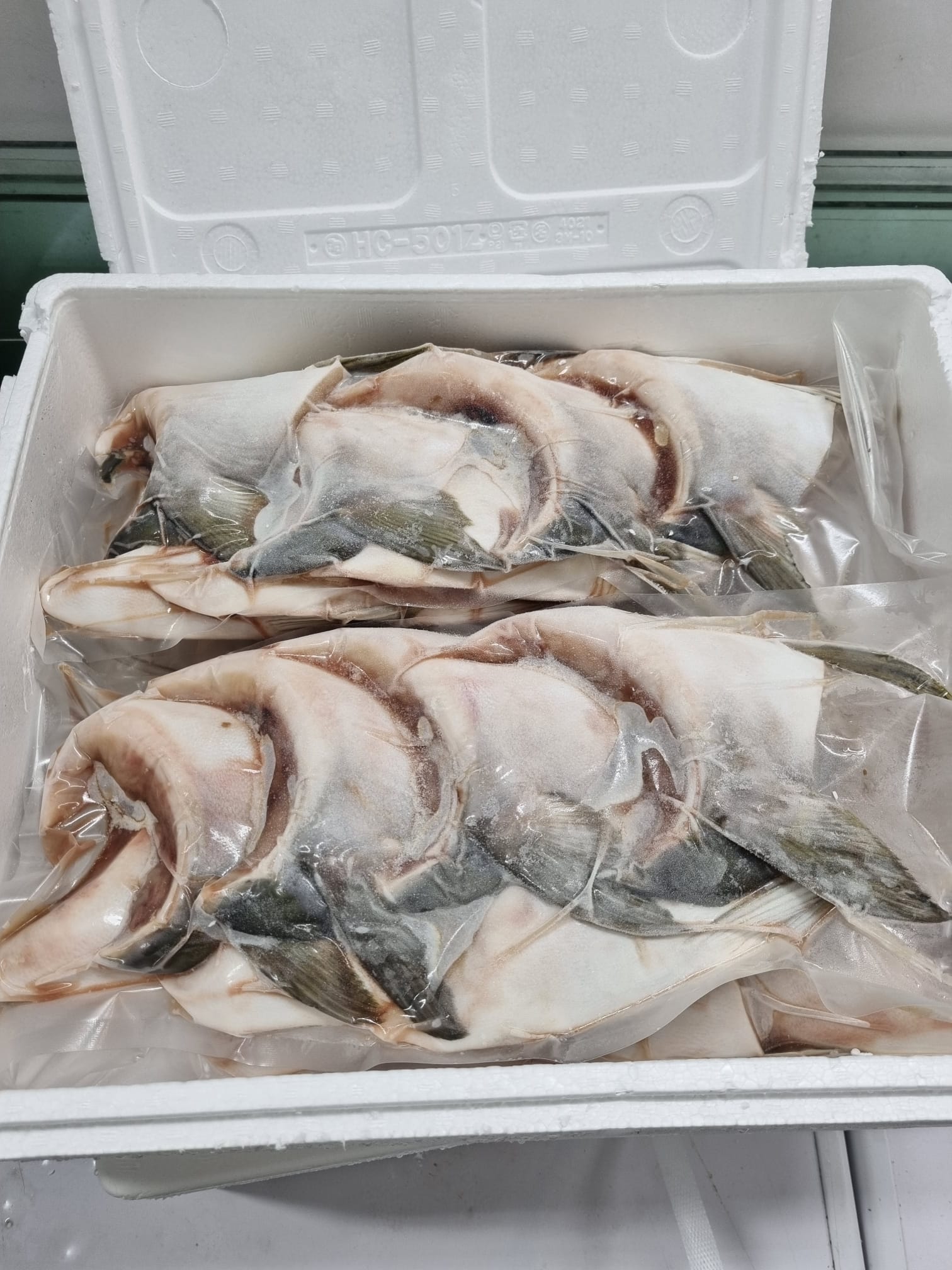 Hamachi Collar - Yellowtail Fish Collar - M1 Crab International | Take App