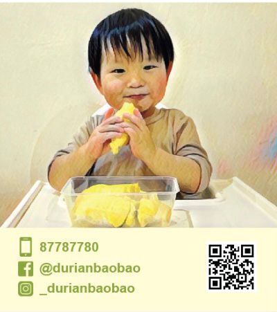 Durian Baby 榴莲宝宝