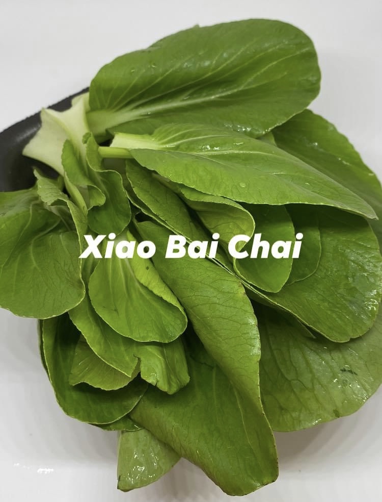 Vegetable - Xiao Bai Chai - One Pot 一锅 | Take App