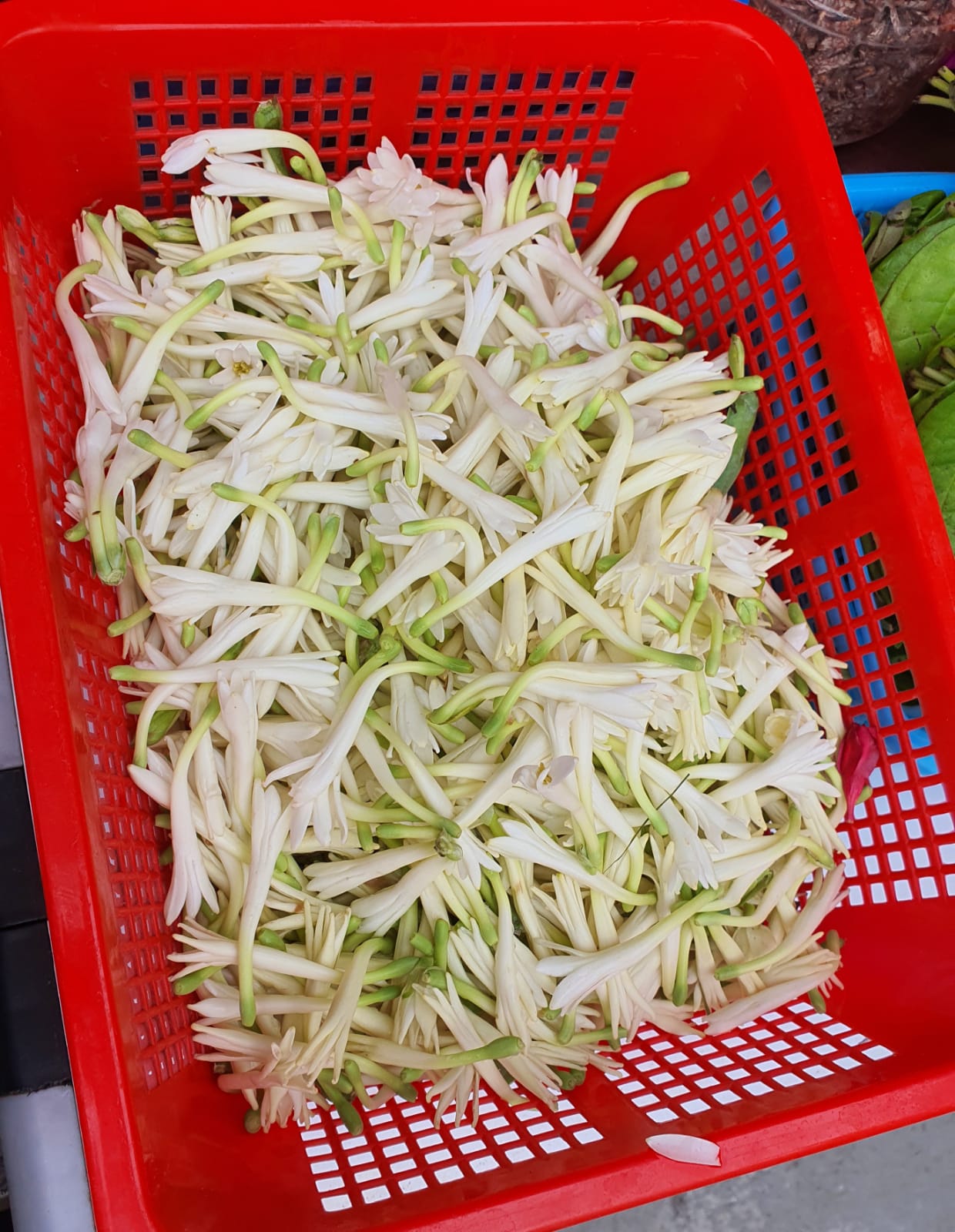 Loose Sempangi - The Pookadai | Take App