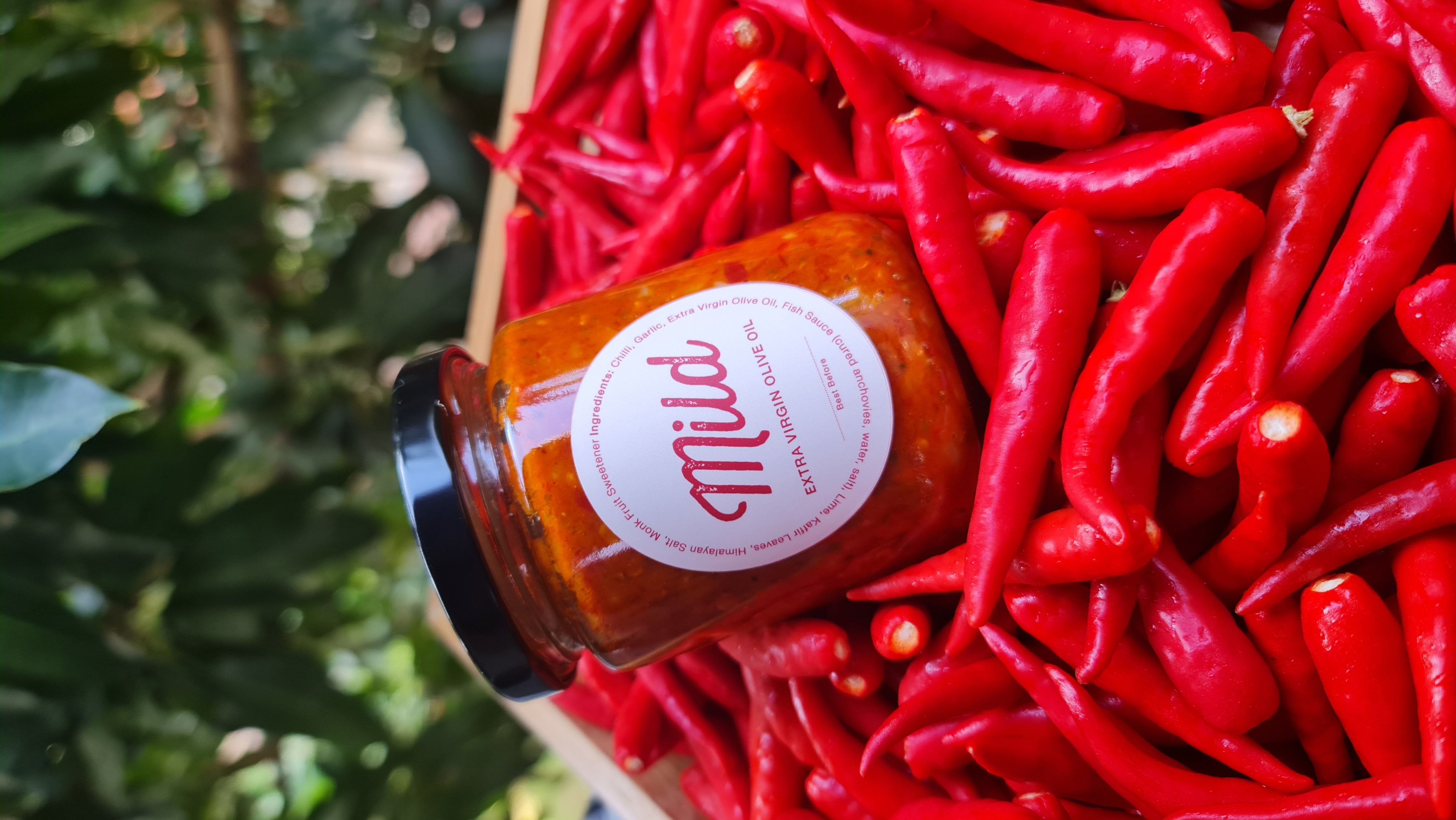 Mild Chilli in Extra Virgin Olive Oil - Simply Chilli | Take App