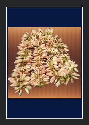 Flowers and Garlands