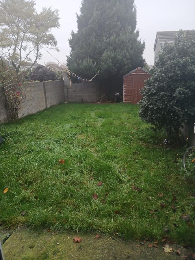 Grass cutting front & back garden - €40