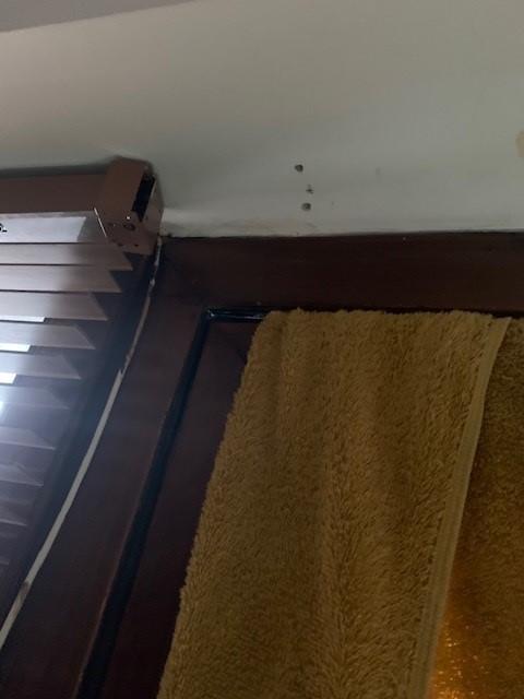 Install new window roller blinds - €100