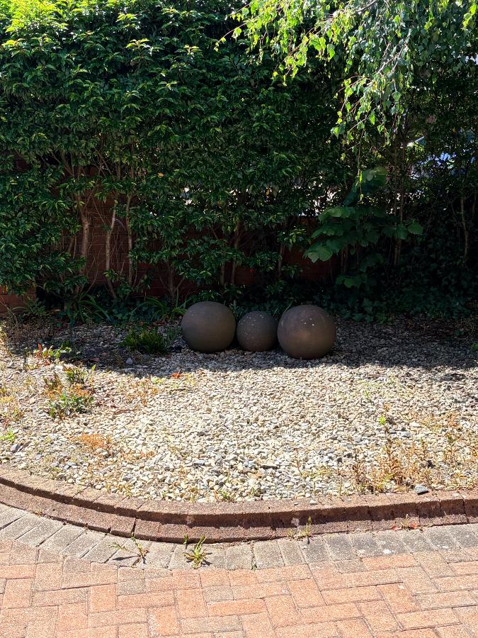 Trim bushes/Tree and remove garden waste - €200