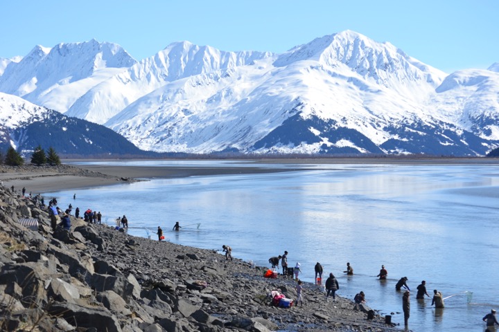 Turnagain Arm Private Full Day Tour by Gunnar P. The best private tours ...