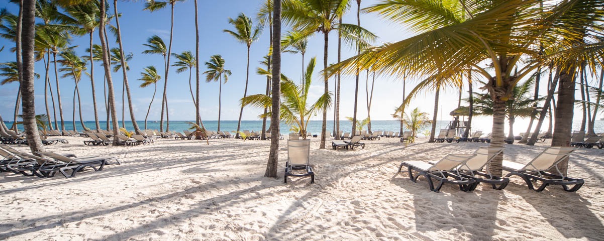 Find the Best Local Tour Guides in Aruba | ToursByLocals