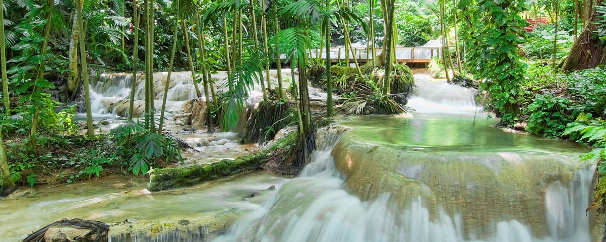 Best American Sign Language Tours by Local Guides in Ocho Rios ...