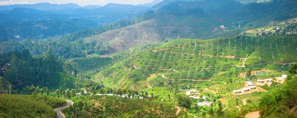 Top Things to Do in Haputale in 2025 - Must-see Attractions ...