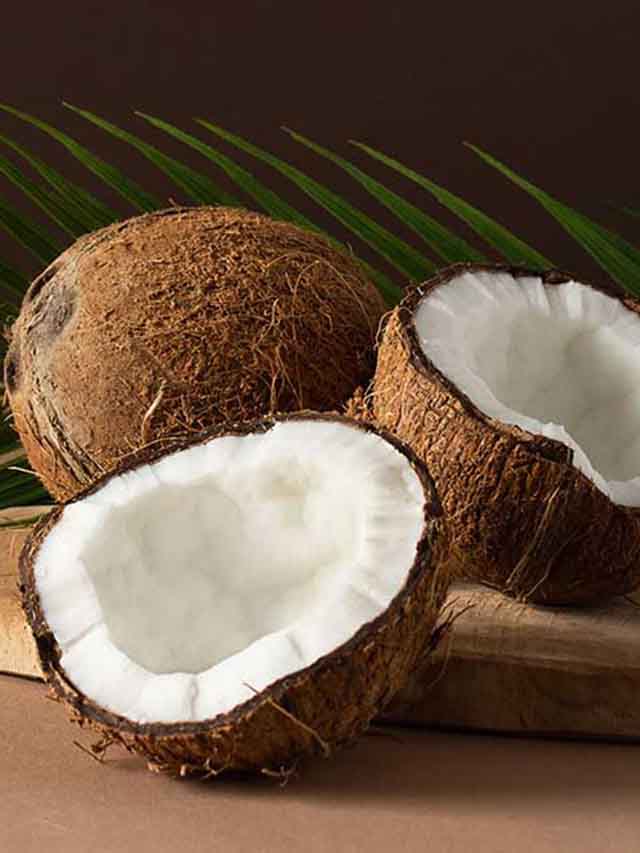 6 Must-Try Dessert Recipes If You Love Coconut - The Channel 46 ...