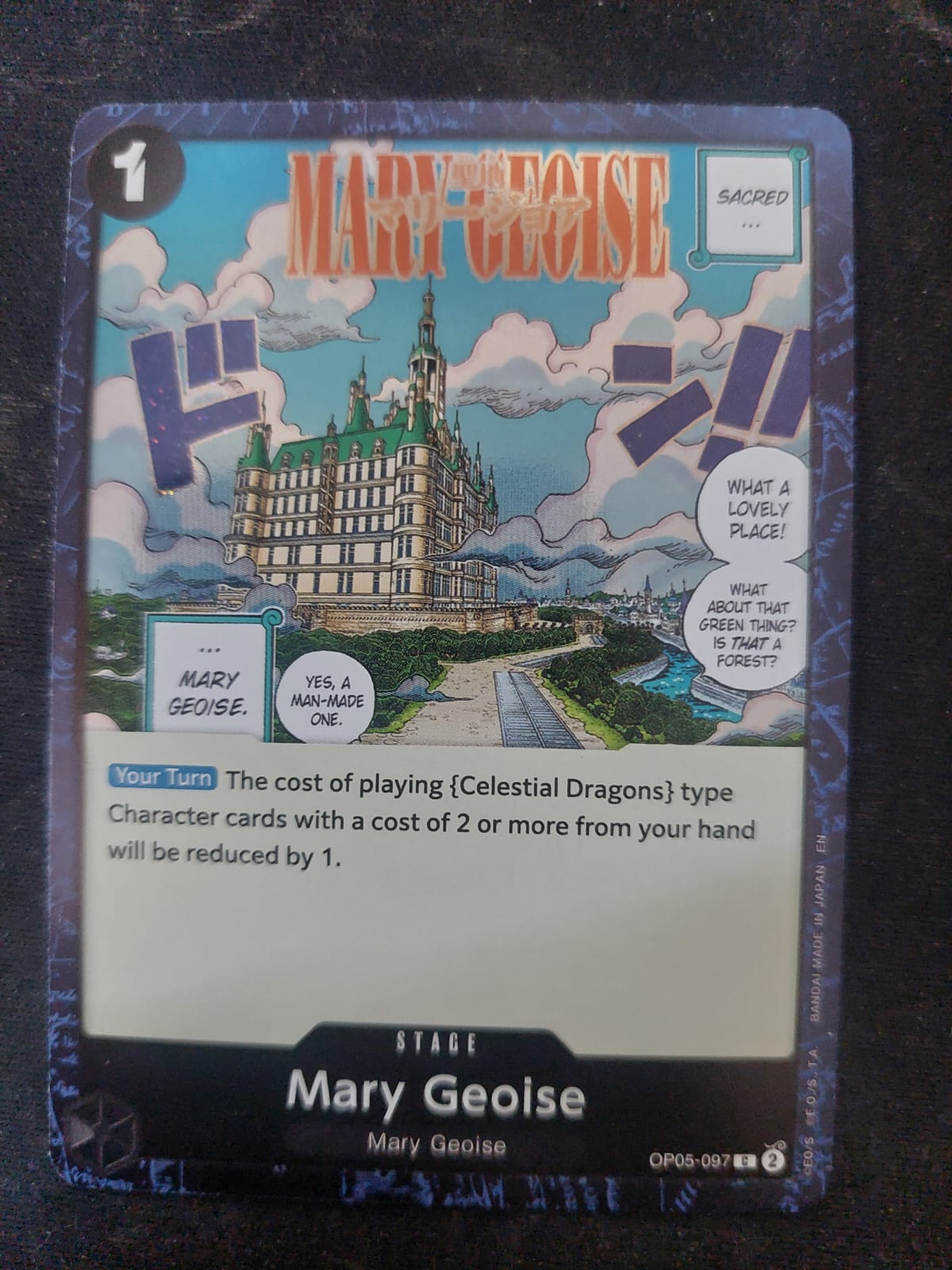 Mary Geoise - TCGmatch Chile
