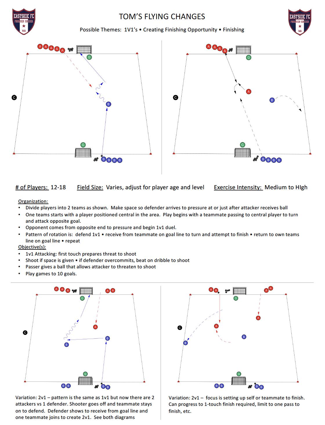 Tom's Flying Changes - The Coaching Manual