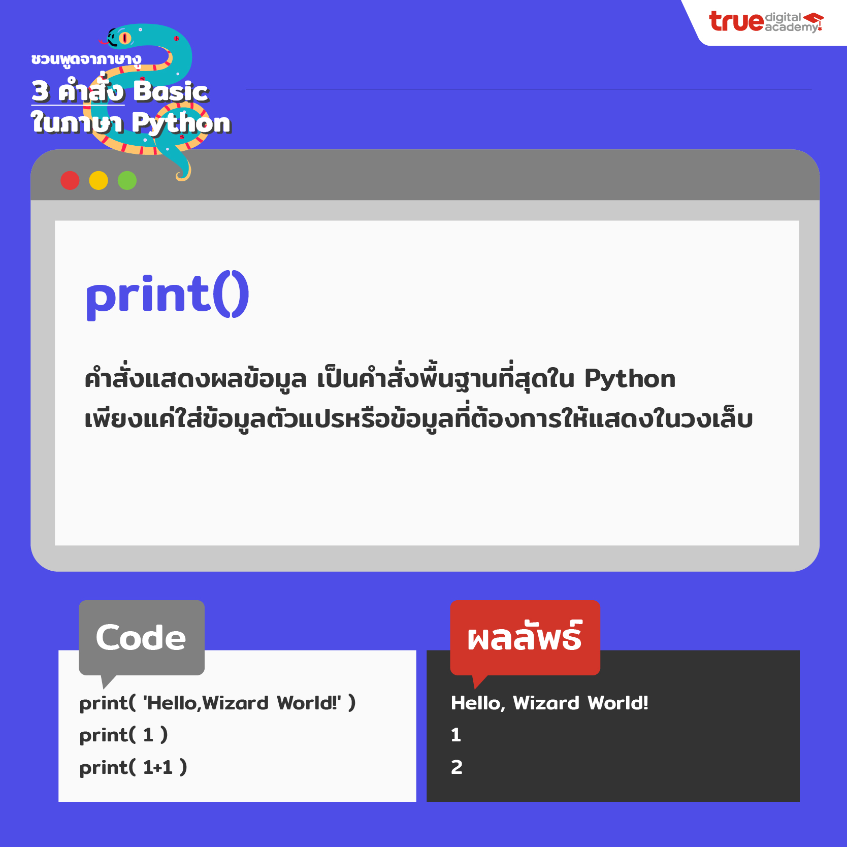 ชวนพูดจาภาษางู EP.1 3 คำสั่ง Basic ในภาษา Python - True Digital Academy