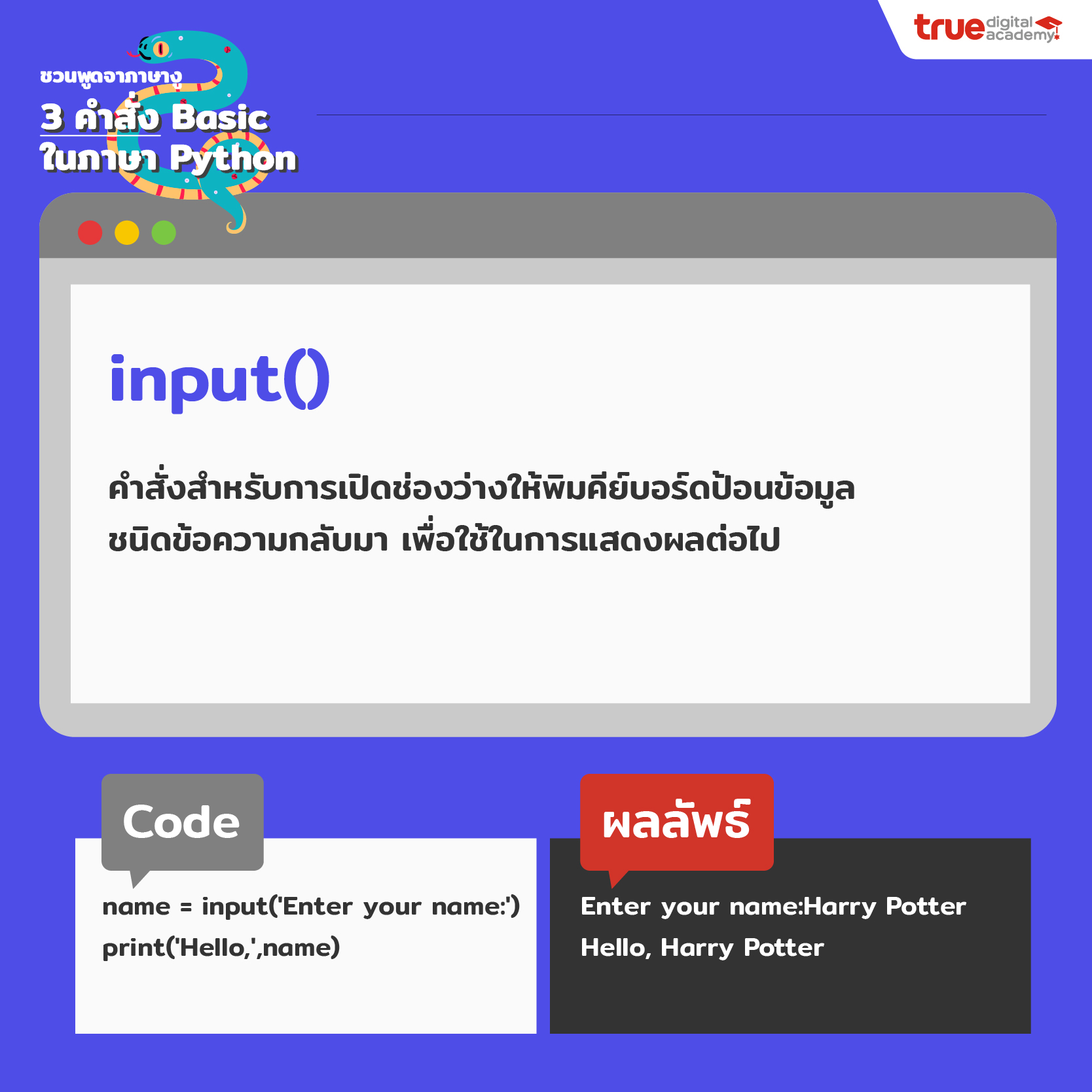 ชวนพูดจาภาษางู EP.1 3 คำสั่ง Basic ในภาษา Python - True Digital Academy