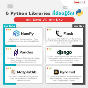 6 Python Libraries ที่ต้องรู้จัก! สาย Data VS สาย Dev - True Digital Academy