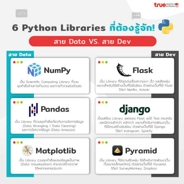 6 Python Libraries ที่ต้องรู้จัก! สาย Data VS สาย Dev - True Digital Academy
