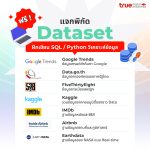 รวม Dataset แจกฟรี ใช้ฝึกวิเคราะห์ข้อมูลเขียน SQL / Python - True Digital Academy