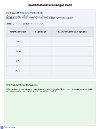 Quadrilateral Quest Adventure — Geometry | TeachShare