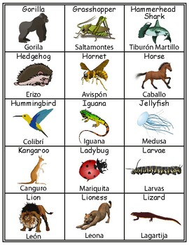 Bilingual ESL Animal Flashcards English/Spanish Names and Illustrations ...