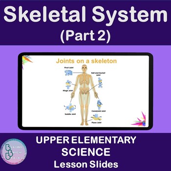 Skeletal System part 2 | PowerPoint Lesson Slides Upper Elementary ...