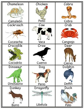 Bilingual ESL Animal Flashcards English/Spanish Names and Illustrations ...