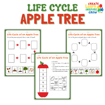 Life Cycle of a apple tree activity worksheet cut and paste - how a ...
