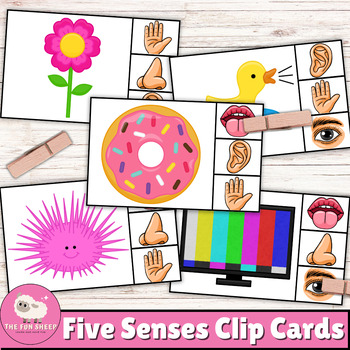 Five Senses Clip Cards | 5 Senses Sorting Activity Kindergarten ...