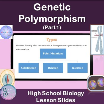 Genetic Polymorphism Part 1 | PowerPoint Lesson Slides High School ...