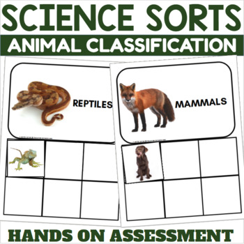 Animal Classification Sorting Activity for Hands On Assessment | TeachShare