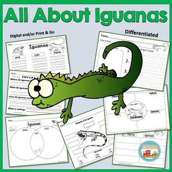 All About Iguanas, Writing Prompts, Graphic Organizers, Diagrams, K ...