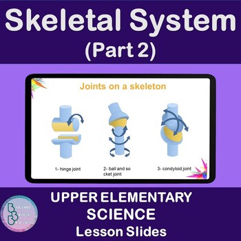 Skeletal System part 2 | PowerPoint Lesson Slides Upper Elementary ...