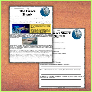 Large Ocean Animals Reading Comprehension Passages|Multiple Choice ...
