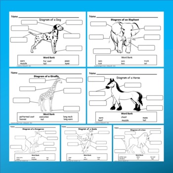 Animal Diagrams, Pets, Farm , Forest, Arctic, Grassland & Zoo Animals ...