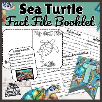 Turtles Research PROJECT | Writing Activity | Ocean Animals Fact File ...